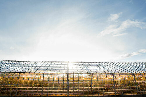 Was ist eigentlich … der Treibhauseffekt?